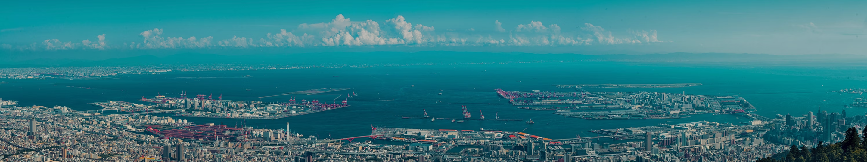 コーポレートサイトリニューアルのお知らせ｜ニュースルーム｜TEION